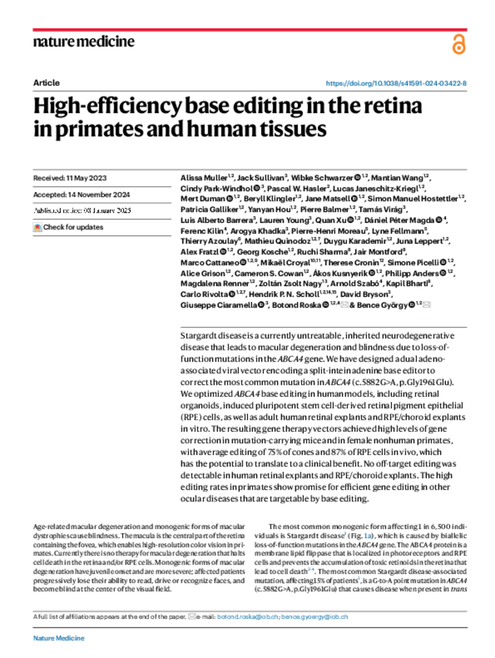 High-efficiency base editing in the retina in primates and human ...